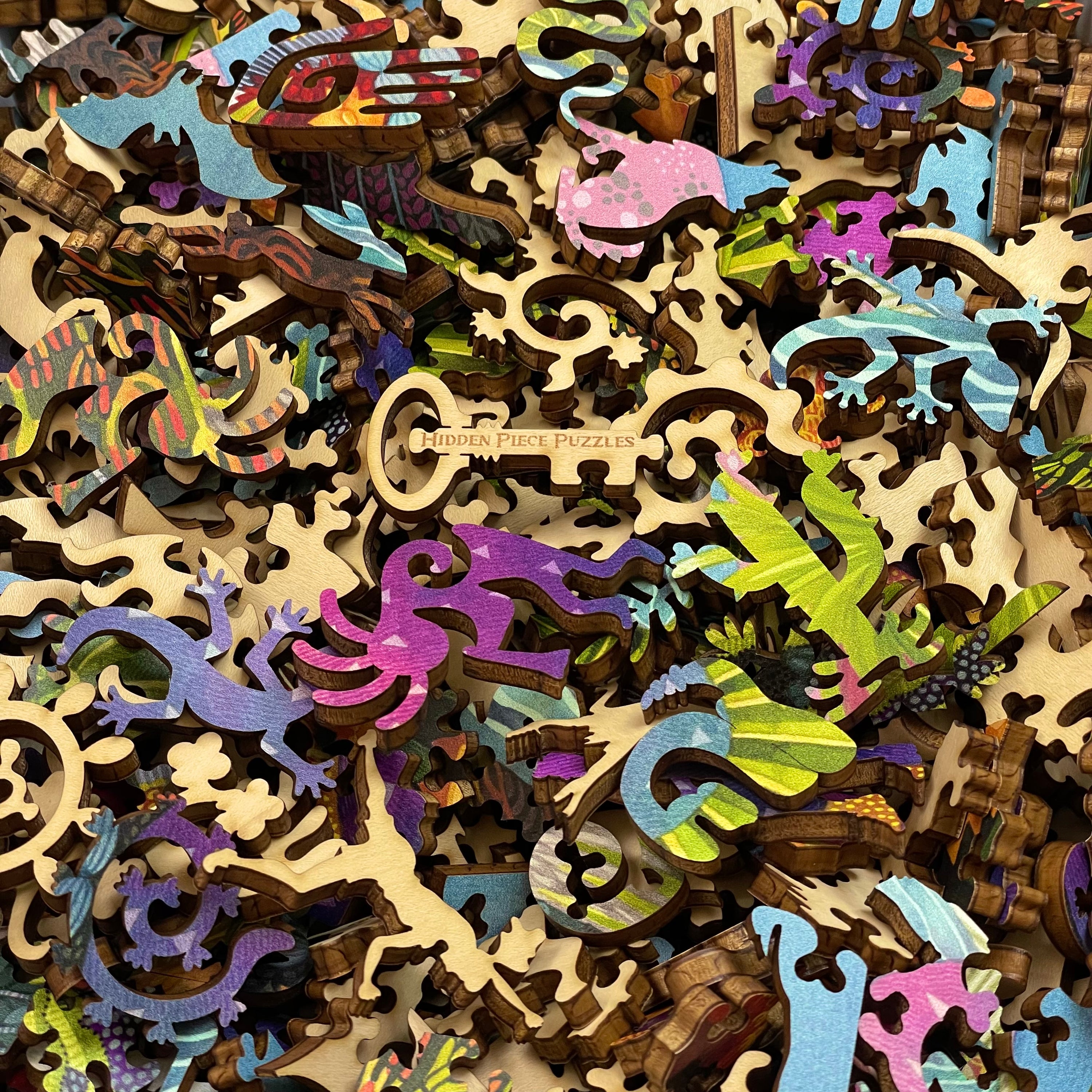 Hidden Piece Puzzles