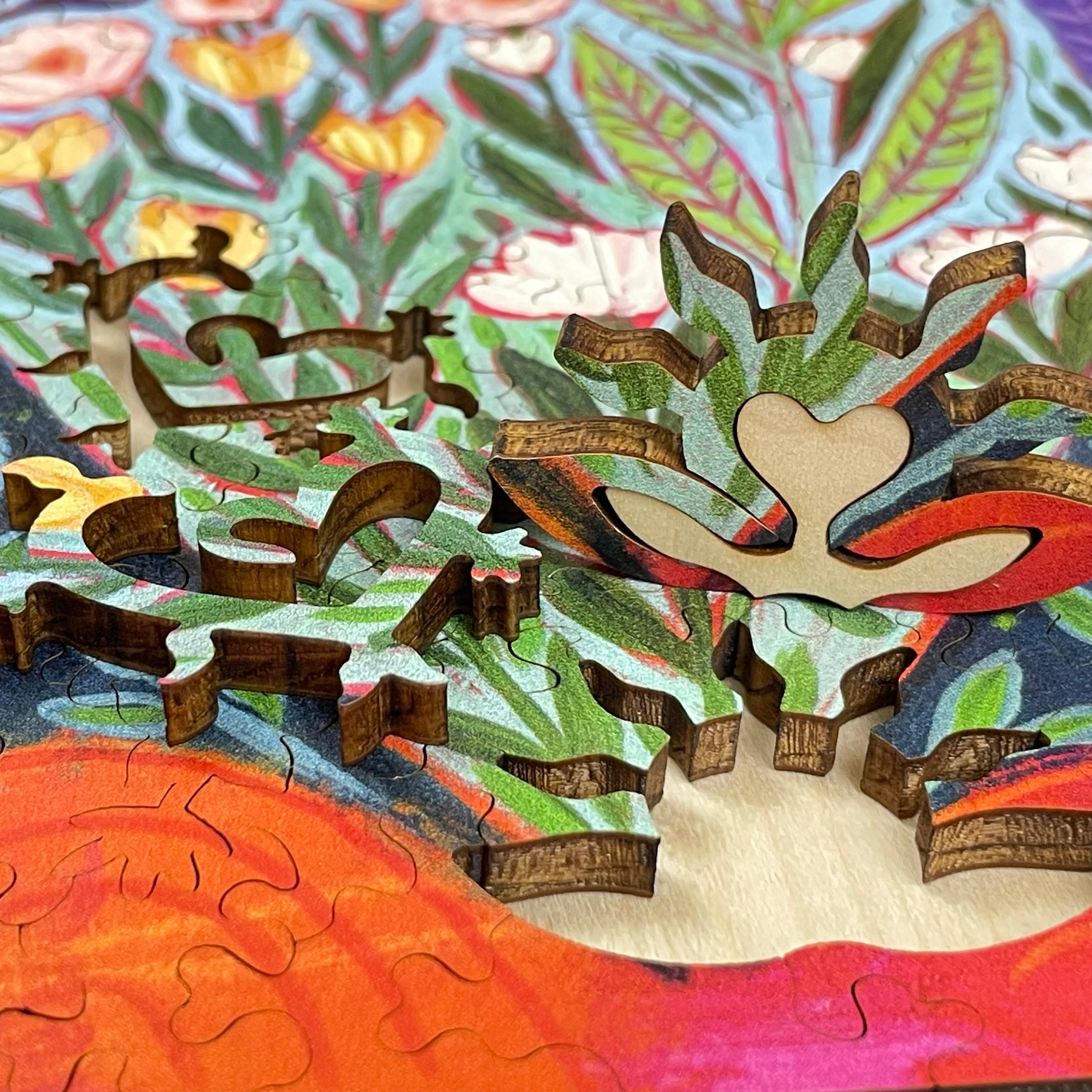 Hidden Piece Puzzles